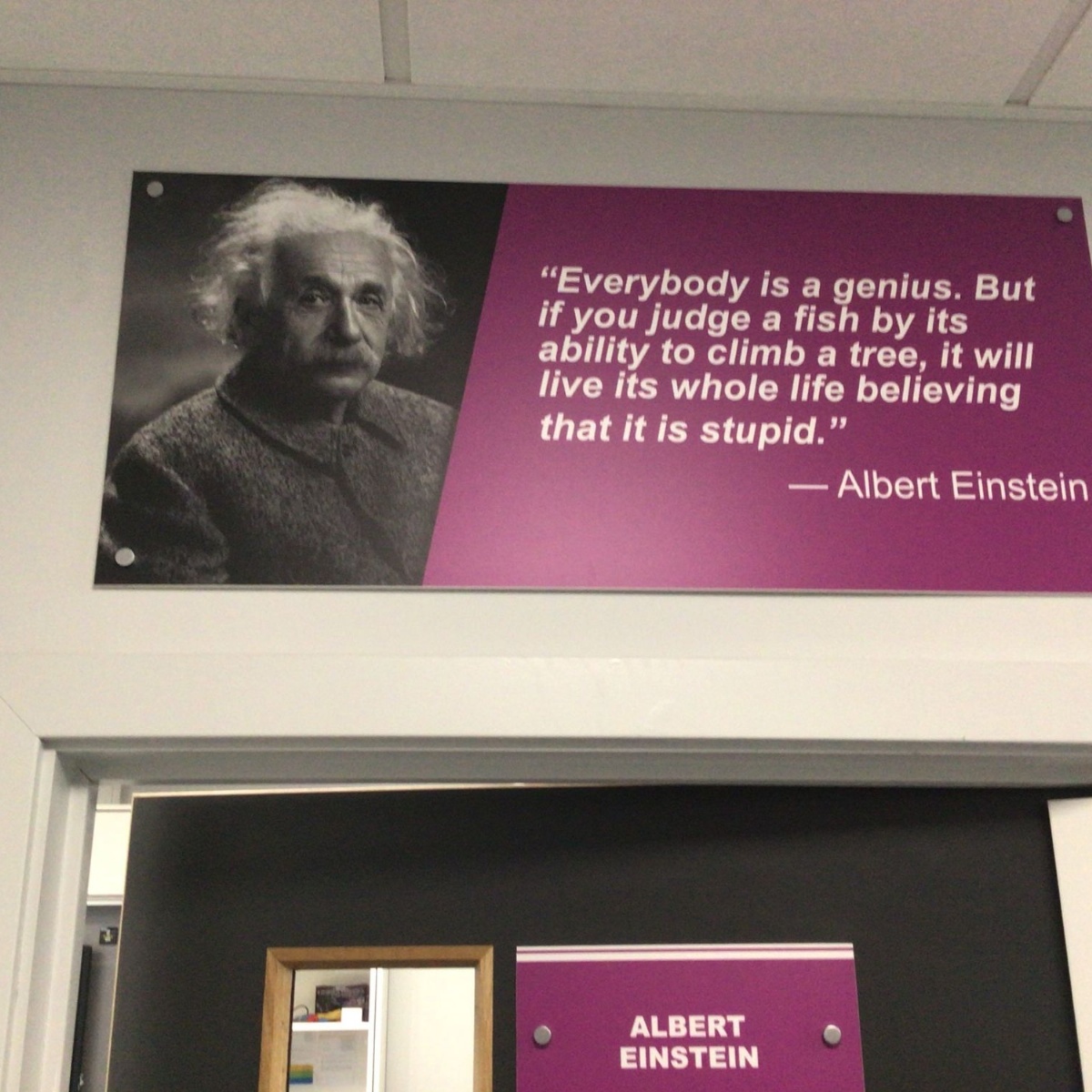 Quest Academy - Welcome to Albert Einstein Class